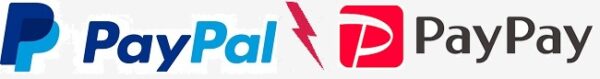 PayPalとは何？PayPayとの違いは？なぜPayPal支払いゲートウェイを選ぶのか？ - GETKEY.JP